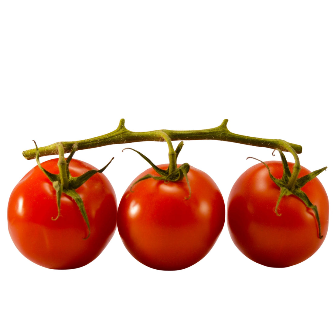 Tomato Floradade - 10 Seeds – Jonquil